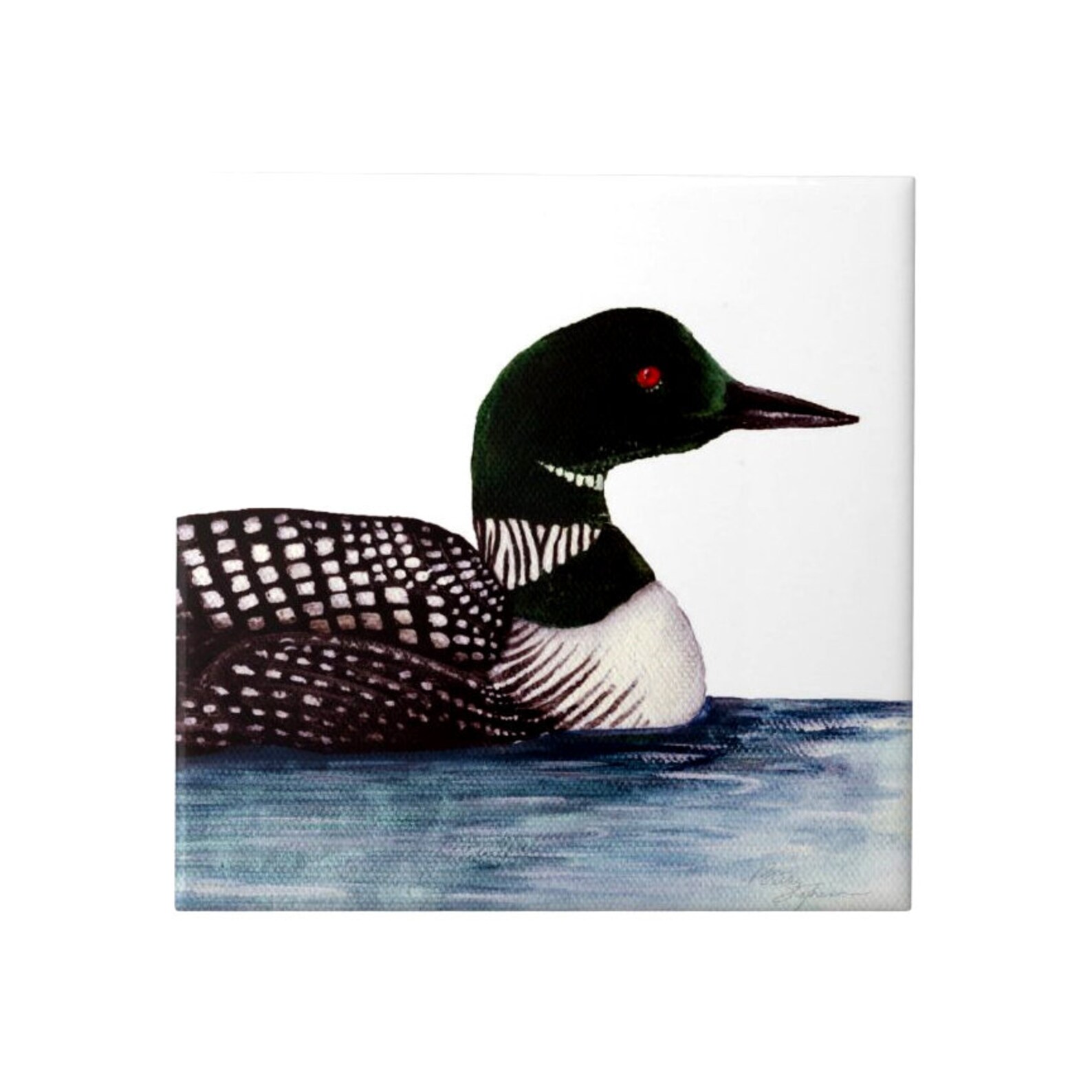 Loon Ceramic Tile, Loon Art Print on Tiles, Loon Magnet, Loon Coaster ...