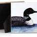 Loon Ceramic Tile, Loon Art Print on Tiles, Loon Magnet, Loon Coaster ...