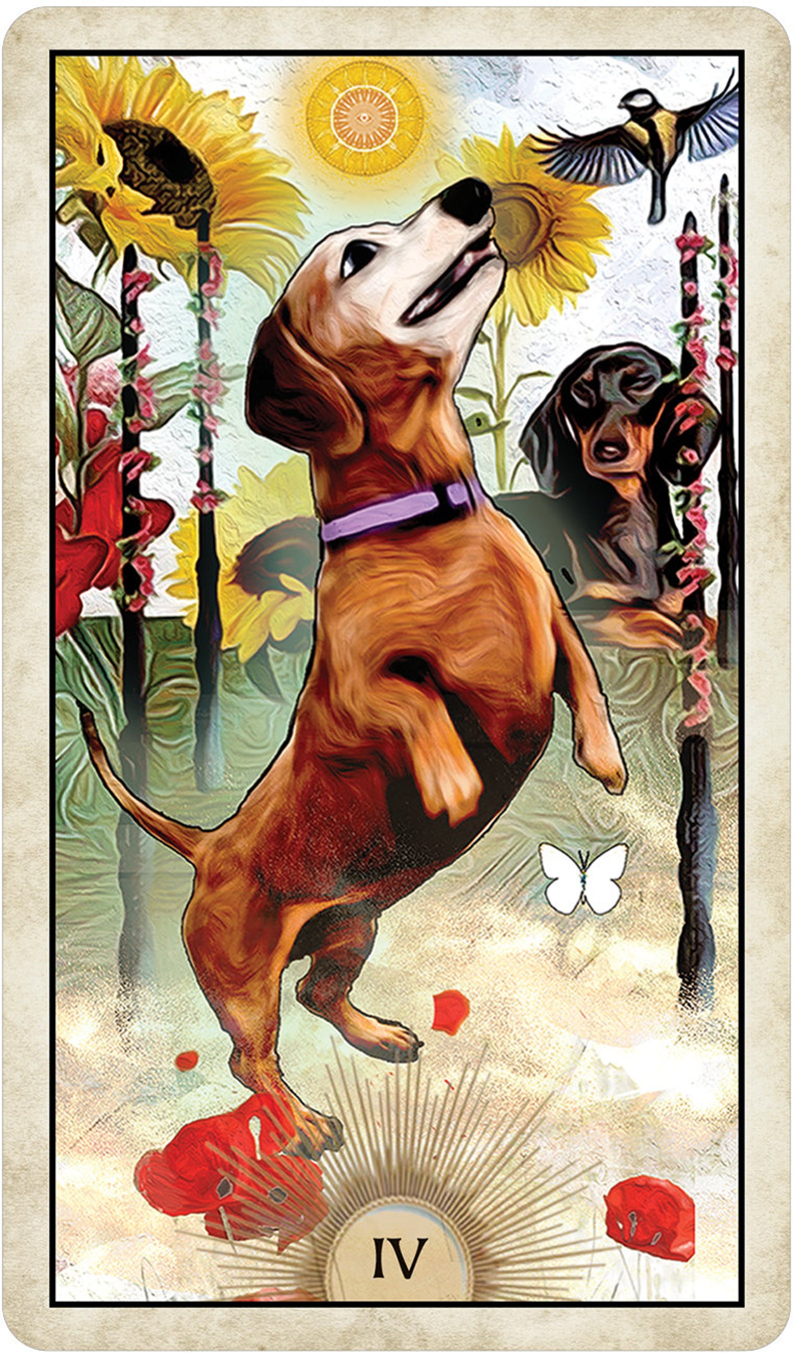 WISE DOG Tarot DECK Cards & Guidebook by Mj Cullinane - Etsy