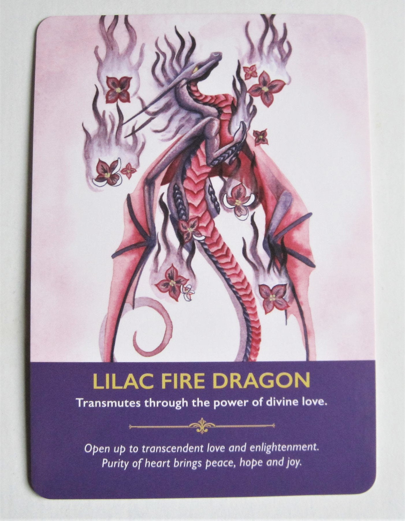 DRAGON Oracle DECK Cards and Guidebook | Etsy