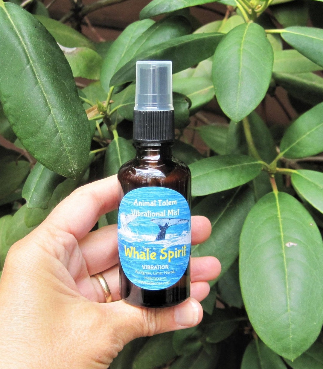 WHALE Spirit ANIMAL Totem Vibrational MIST Essential Oils Spray ...