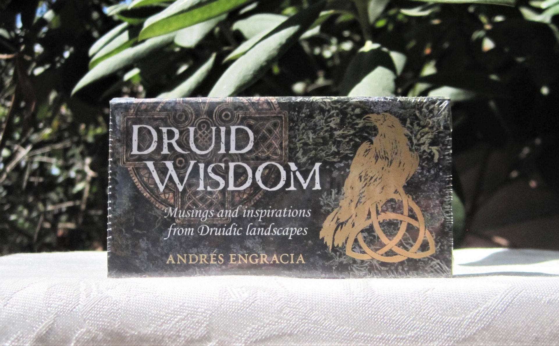 DRUID WISDOM Inspiration Cards Deck Musings and Inspirations - Etsy