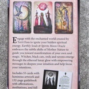 Earthly Souls & Spirits MOON ORACLE Deck Cards and Guidebook by Terri ...