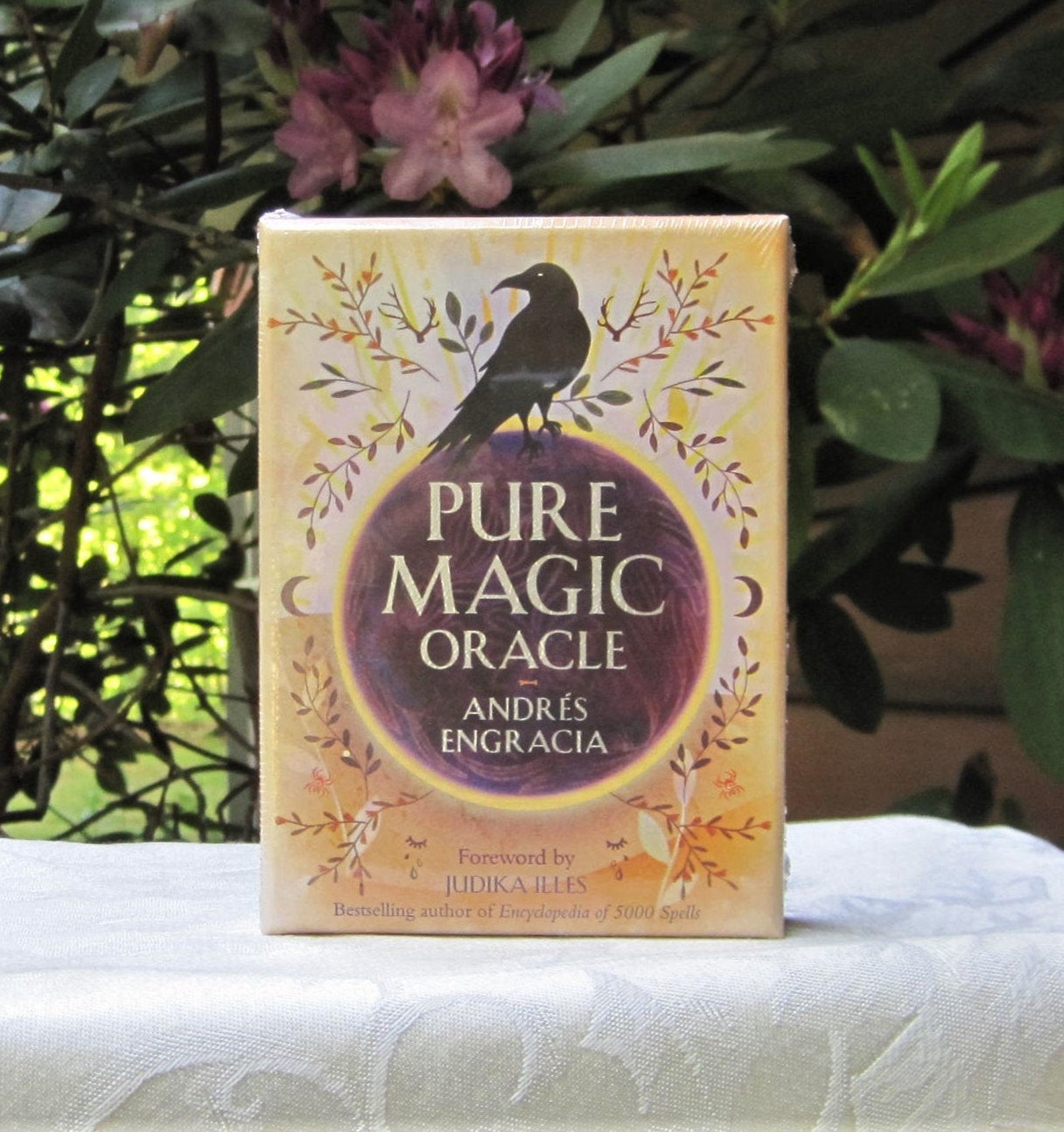 PURE MAGIC Oracle Deck Cards and Guidebook by Andres Engracia - Etsy