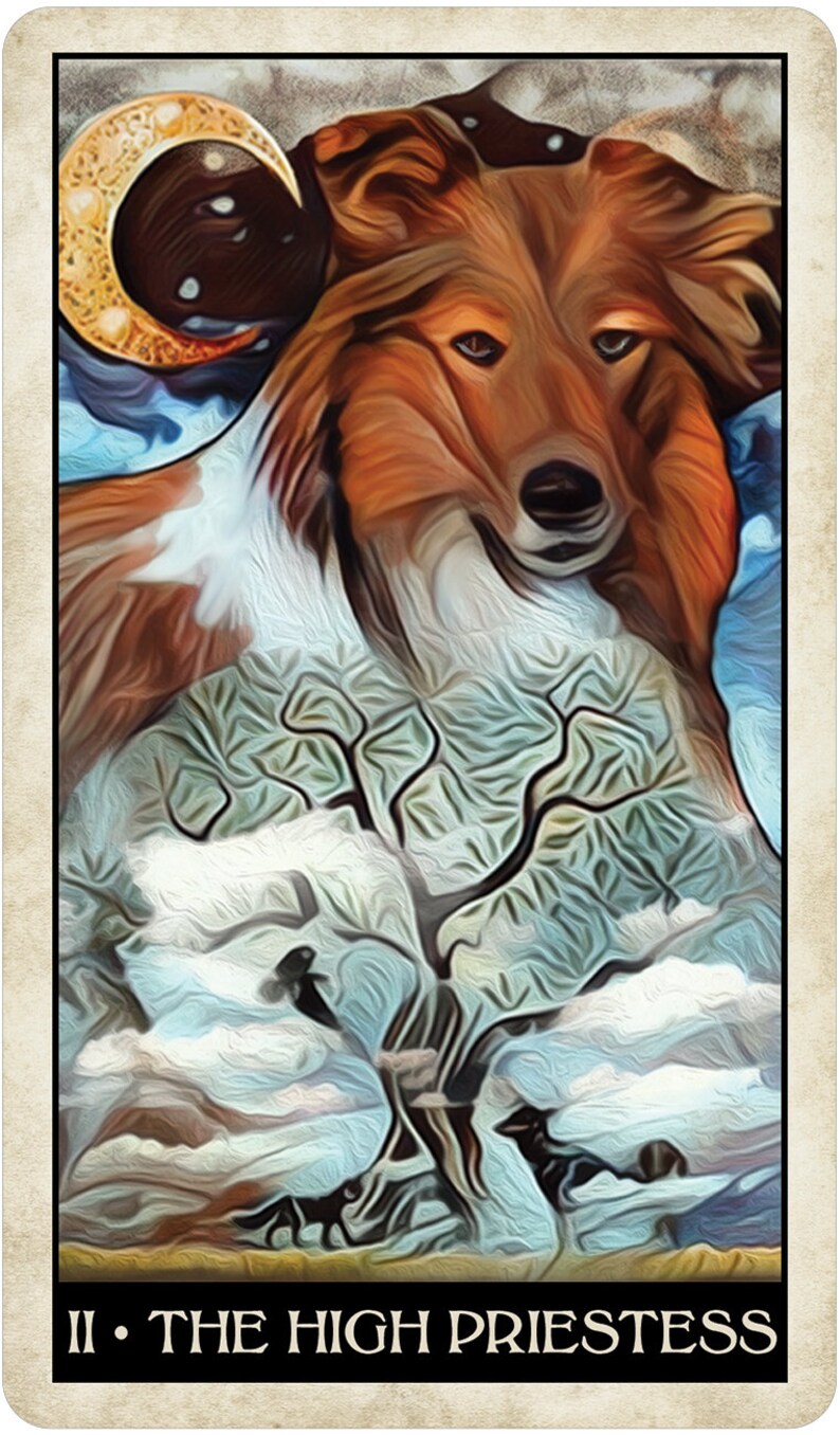 WISE DOG Tarot DECK Cards & Guidebook by Mj Cullinane | Etsy