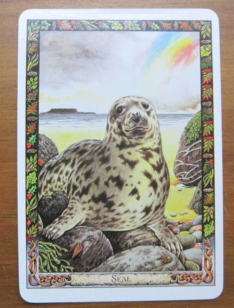 The DRUID ANIMAL Oracle DECK Cards and Booklet by Philip & - Etsy