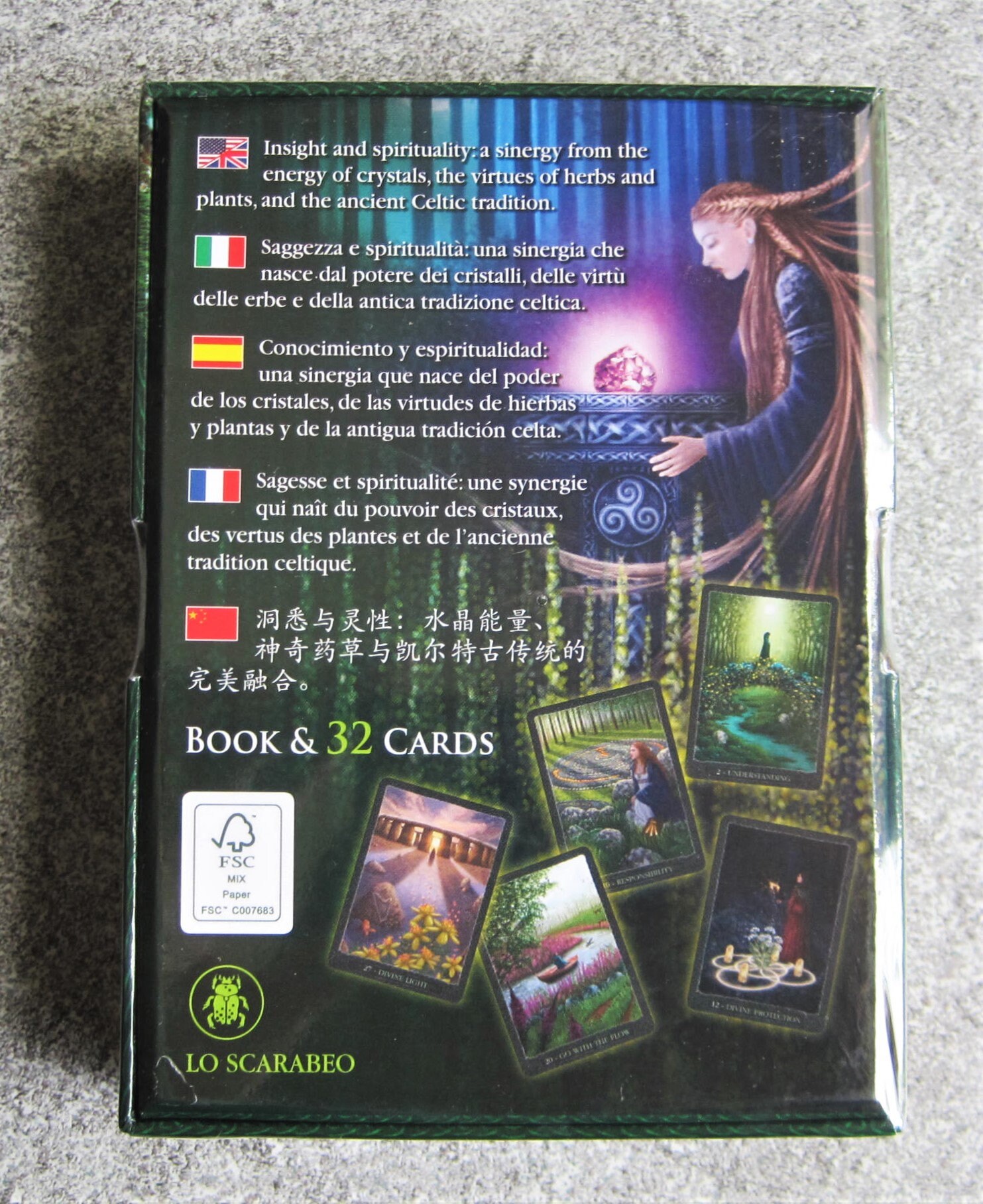 EARTH WISDOM Oracle DECK Cards & Guidebook | Etsy