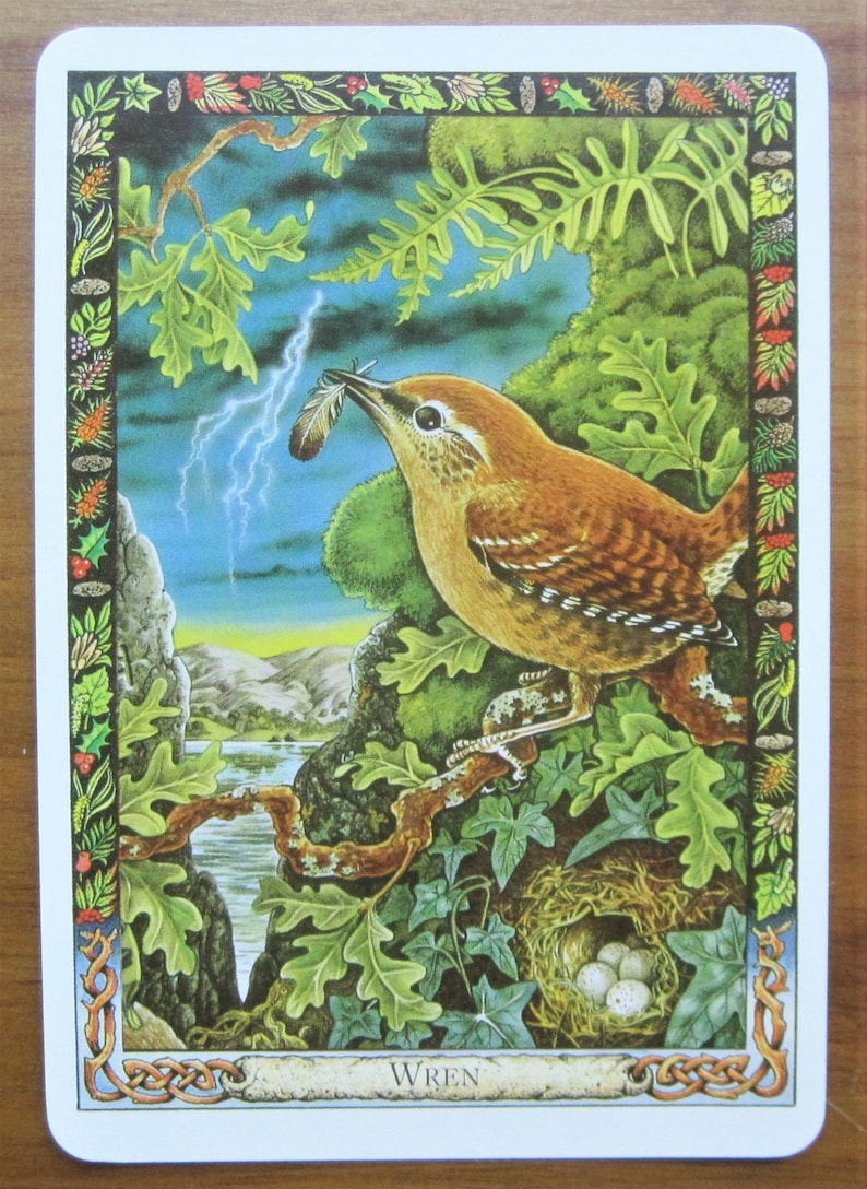 The DRUID ANIMAL Oracle DECK Cards and Booklet by Philip & - Etsy