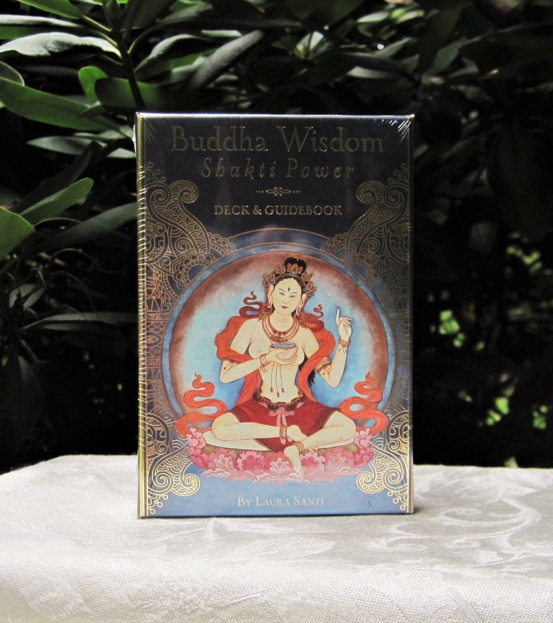 BUDDHA WISDOM Shakti Power ORACLE Deck Cards and Guidebook by Laura ...