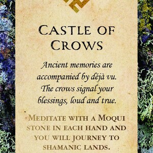 DRUID WISDOM Inspiration Cards Deck Musings and Inspirations From ...