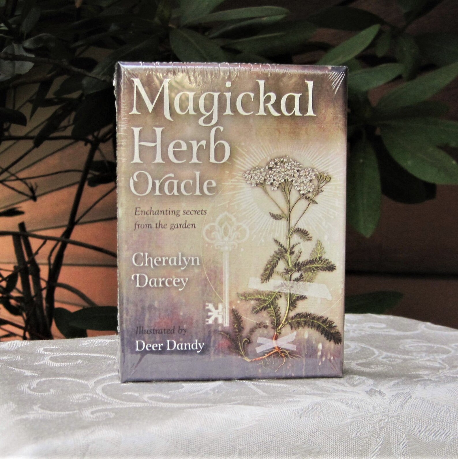 MAGICKAL HERB Oracle Deck Cards and Guidebook by Cheralyn | Etsy