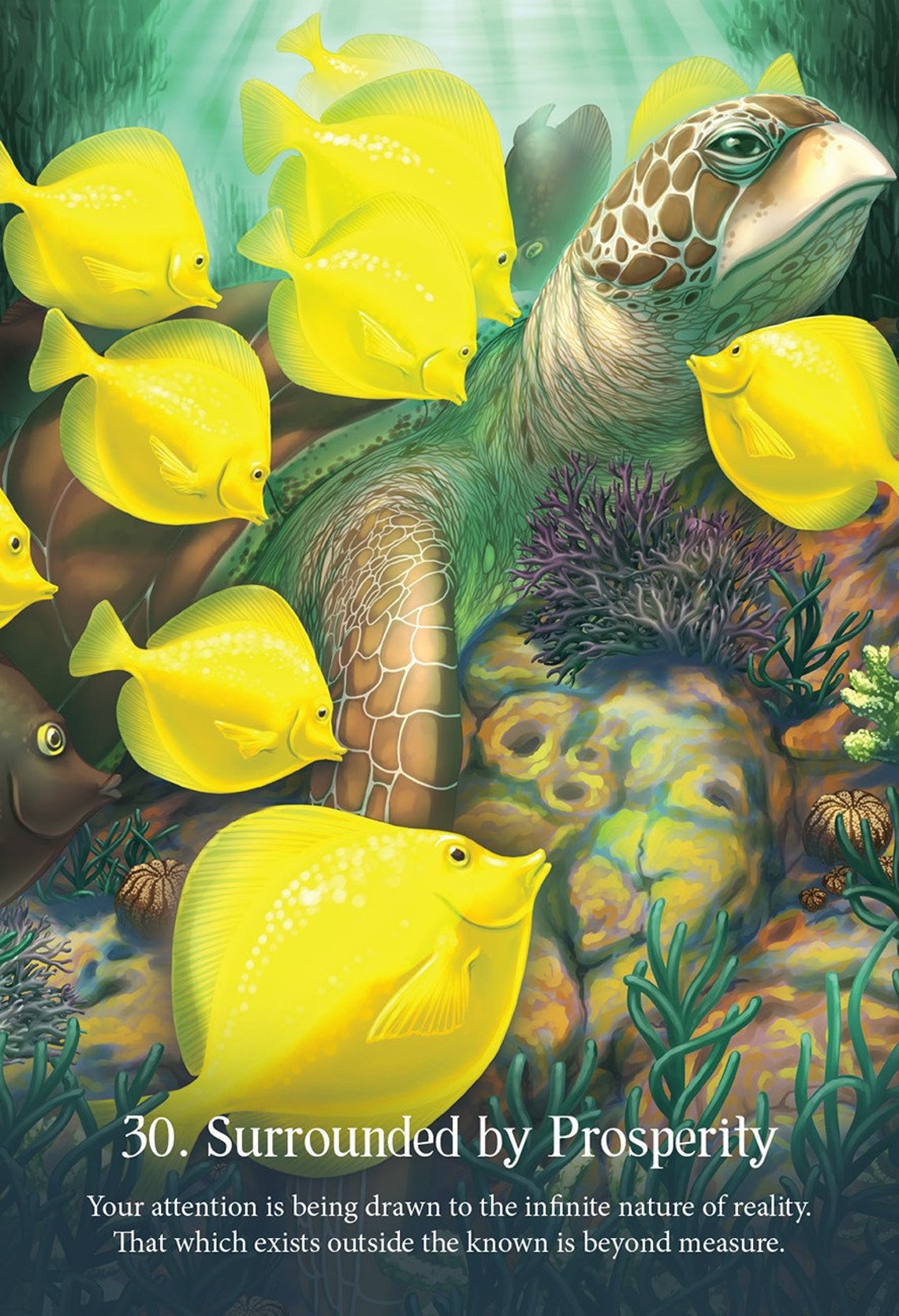 WHISPERS of the OCEAN Oracle DECK Cards and Guidebook by | Etsy