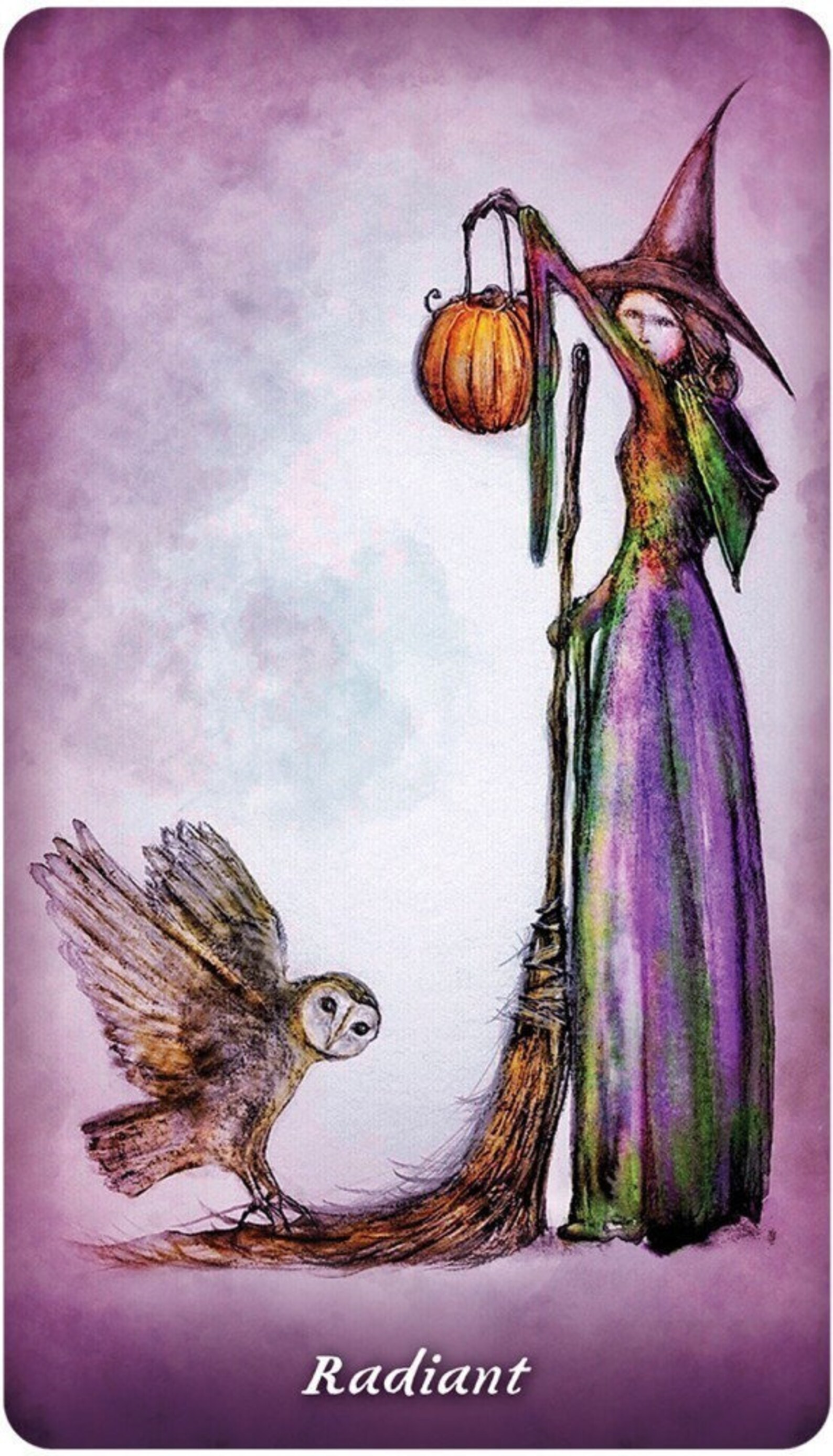 Earthly Souls & Spirits MOON ORACLE Deck Cards and Guidebook by Terri ...