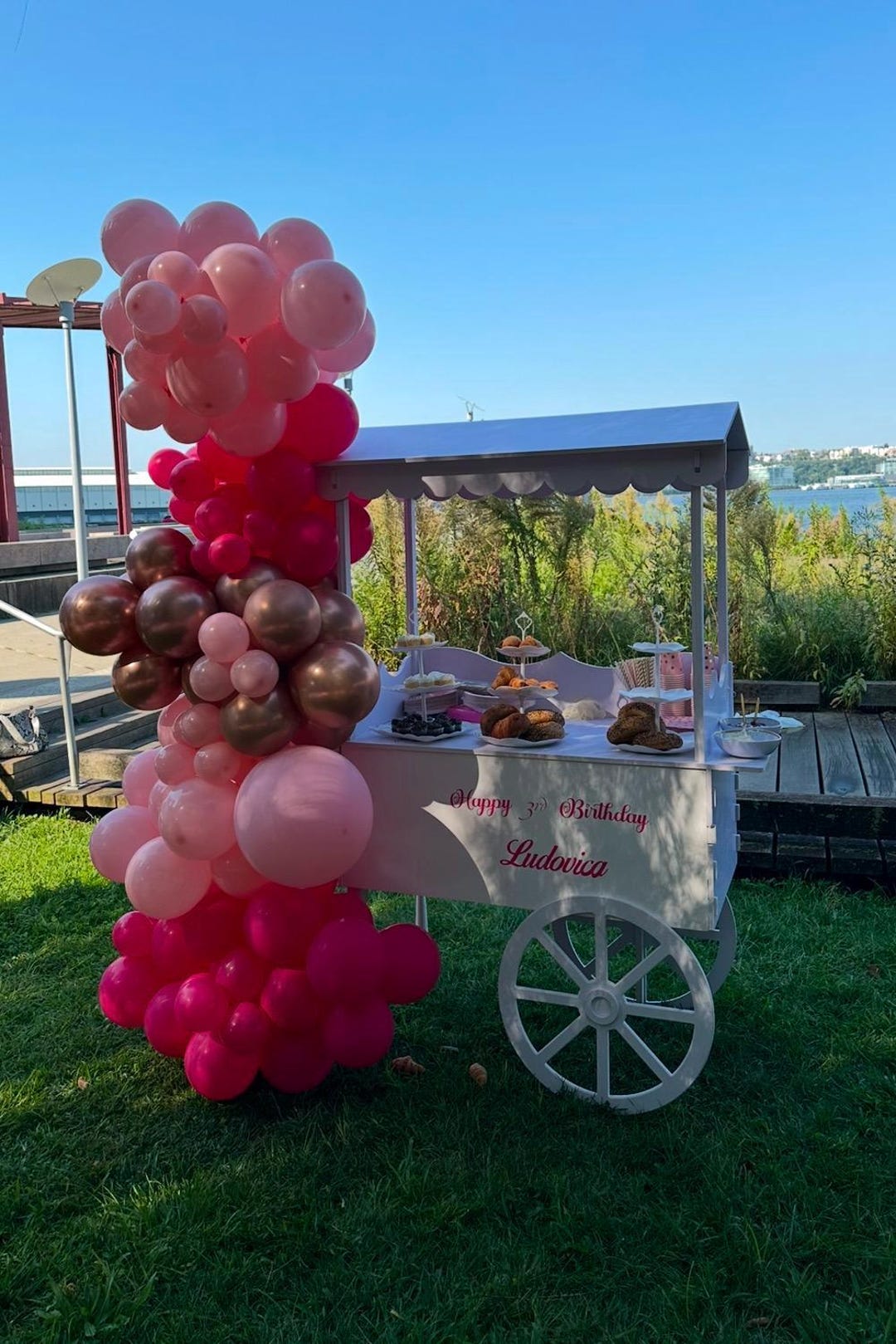 Personalized Cart for Events (for Rental in the New York Area Only ...