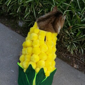 CORN DOGS or Kitty Corn!? Corn Coat for Cats & Dogs - Etsy