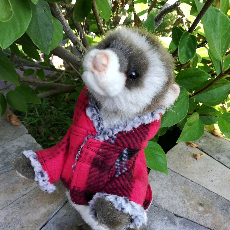 Ferret Clothes - Etsy