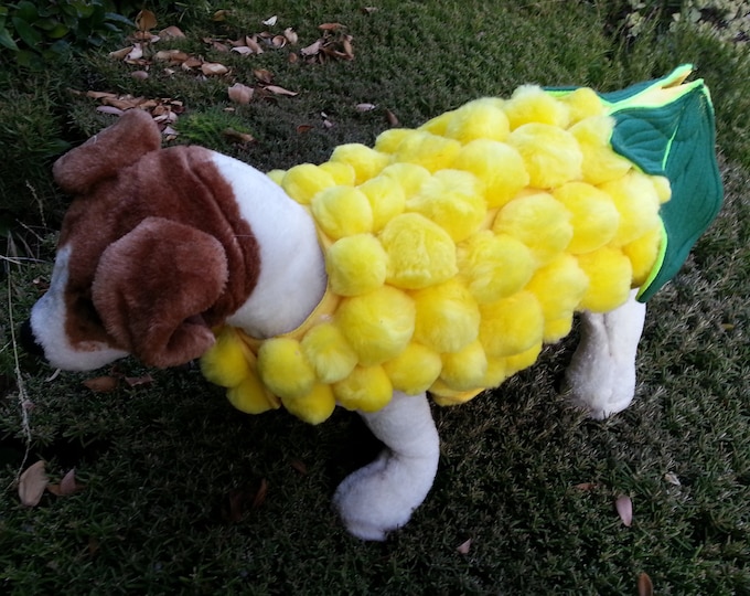 CORN DOGS or Kitty Corn Corn Coat for Cats & Dogs - Etsy