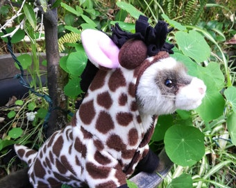 Ferret clothes | Etsy