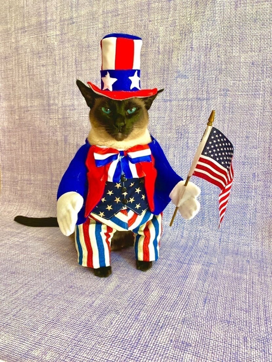 Standing Uncle Sam CAT Costume - Etsy