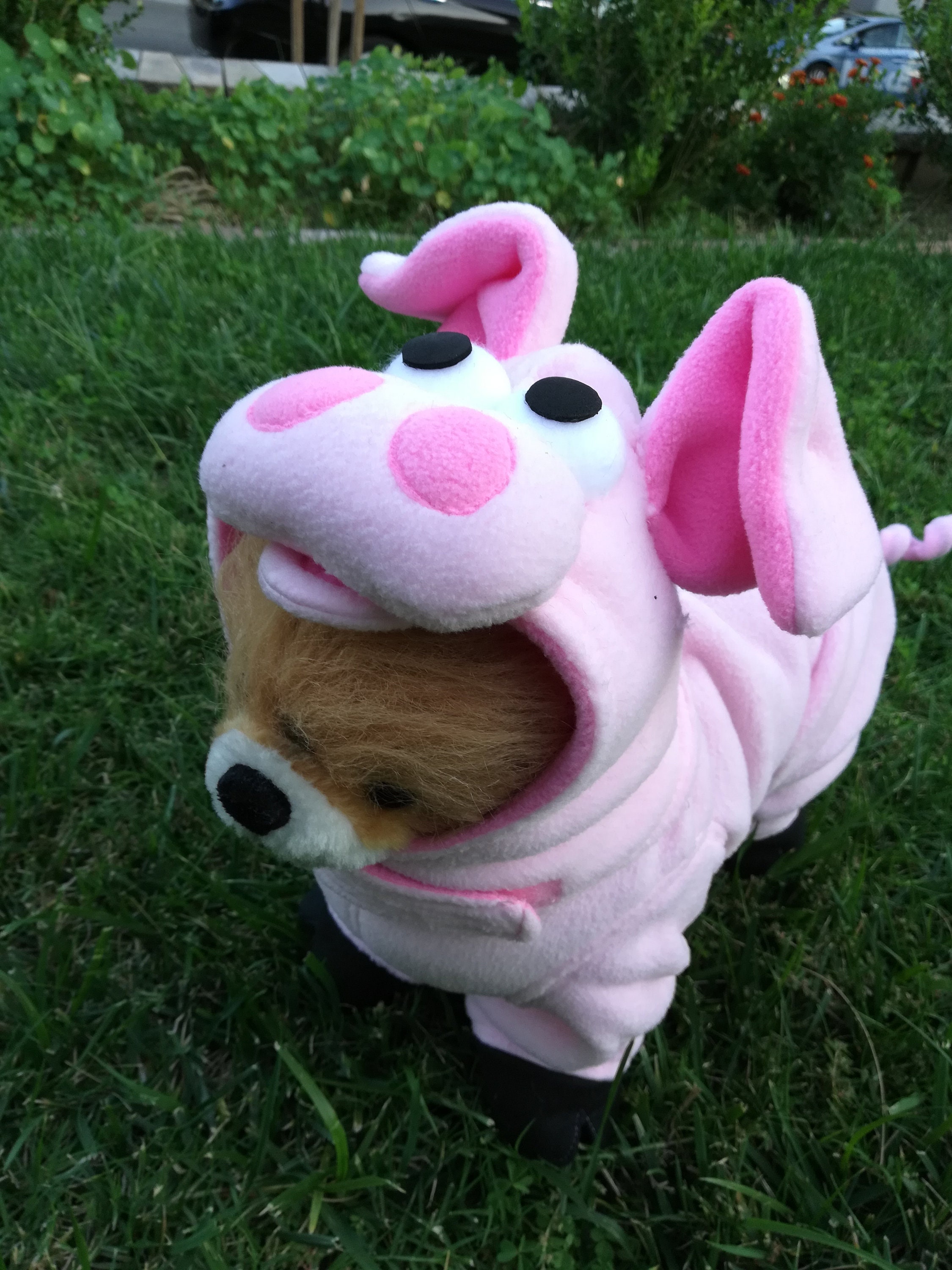 4 Legged "pink Piggy" Pajammies for Small Dogs and Cats by Cozy Pawz - Etsy