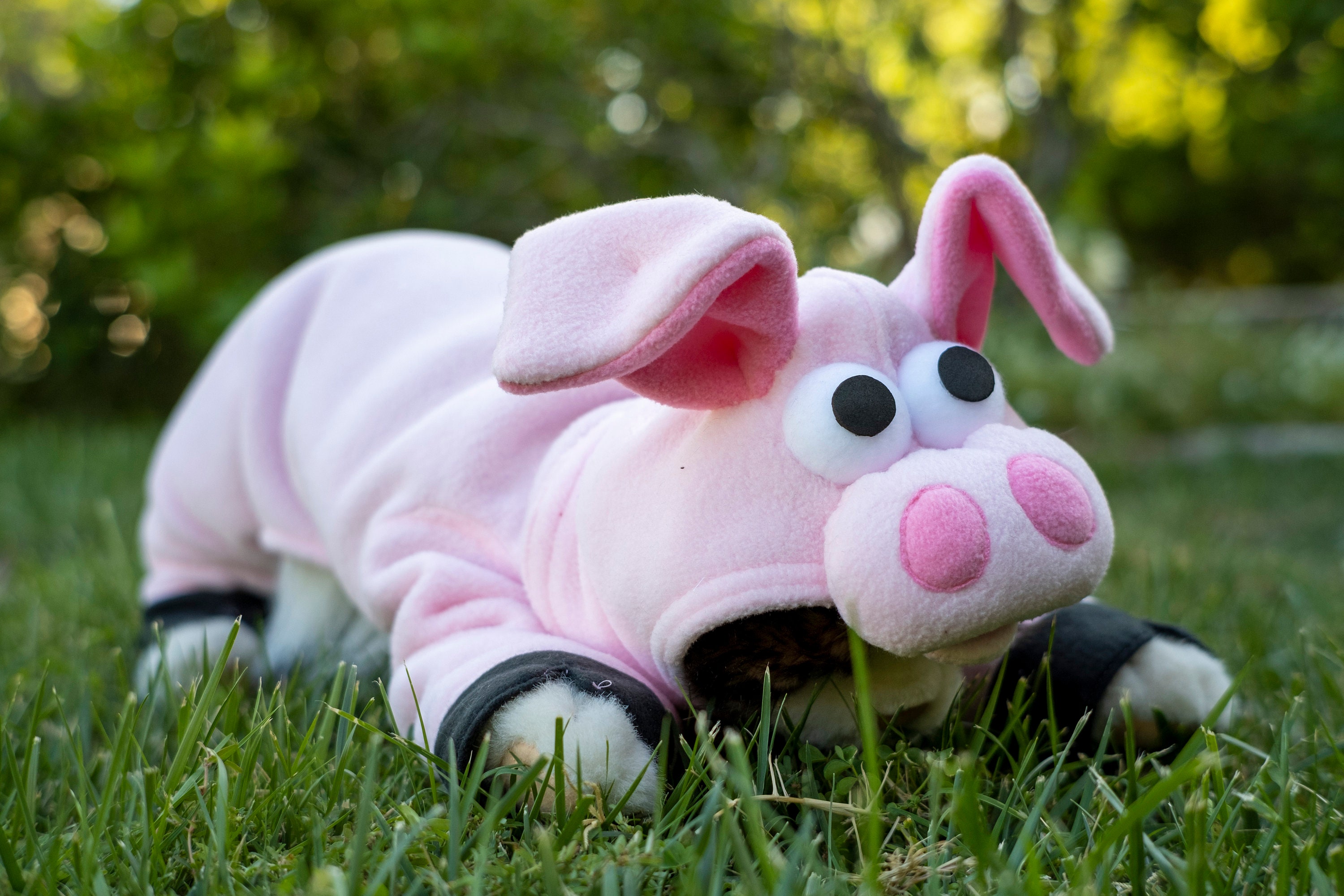 4 Legged "pink Piggy" Pajammies for Small Dogs and Cats by Cozy Pawz - Etsy