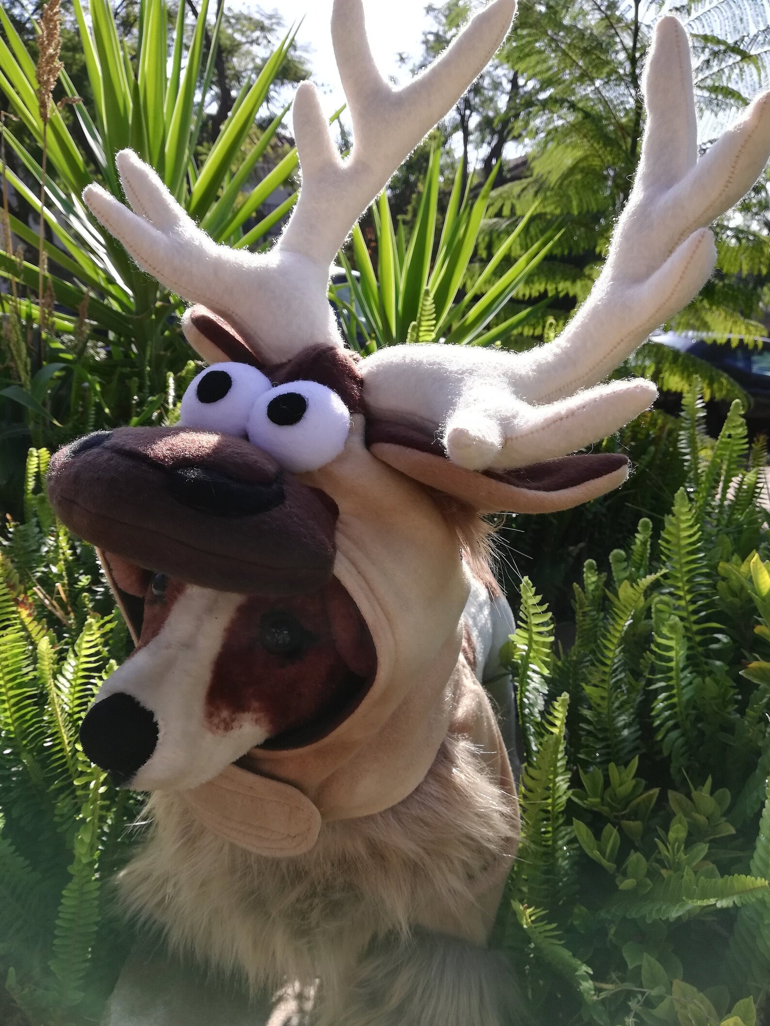RUPERT the REINDEER "front Standing" Dog Costume by TKCCOZYPAWZ - Etsy