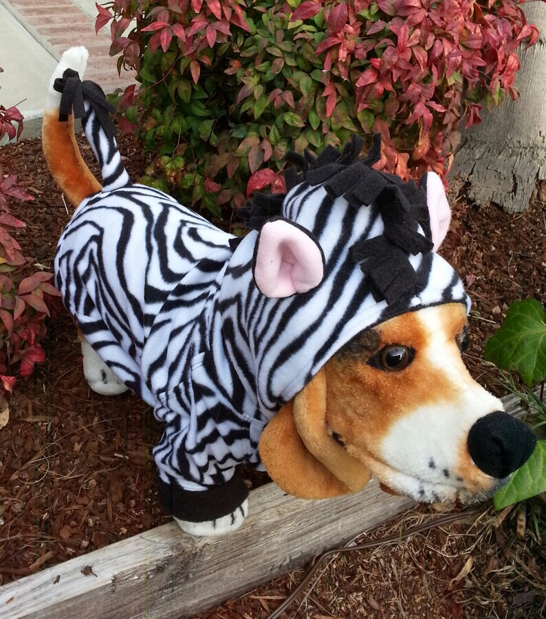 Zebra Hoodie for Dog or Cat Xsmall-xlarge by TKC Cozy Pawz - Etsy