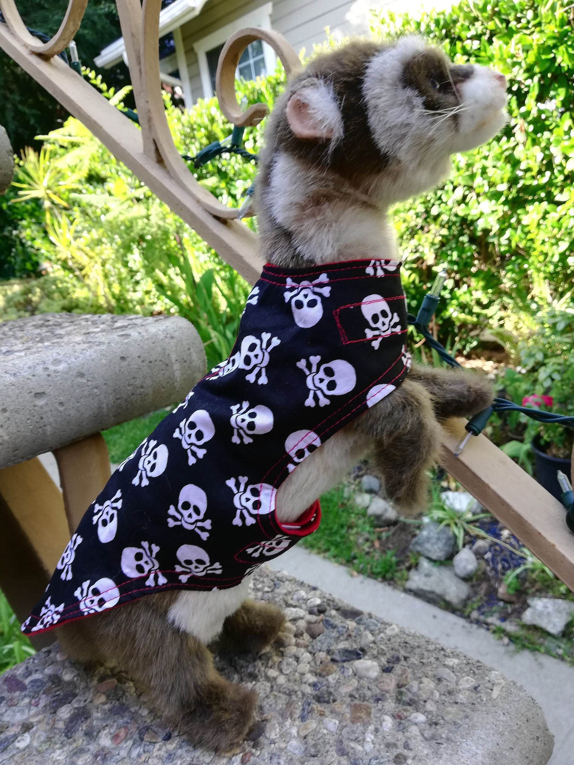 NEW Furever Ferrets pirate/skulls Coat by TKCCOZYPAWZ - Etsy