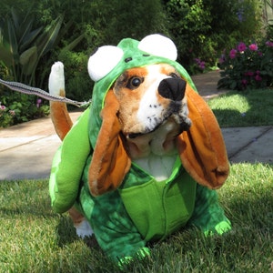Turtle Costume for Dog Xsmall-large by Cozy Pawz - Etsy