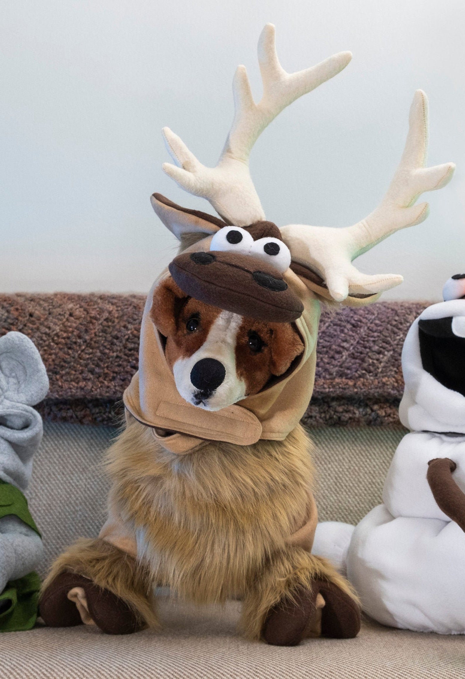 RUPERT the REINDEER "front Standing" Dog Costume by TKCCOZYPAWZ - Etsy