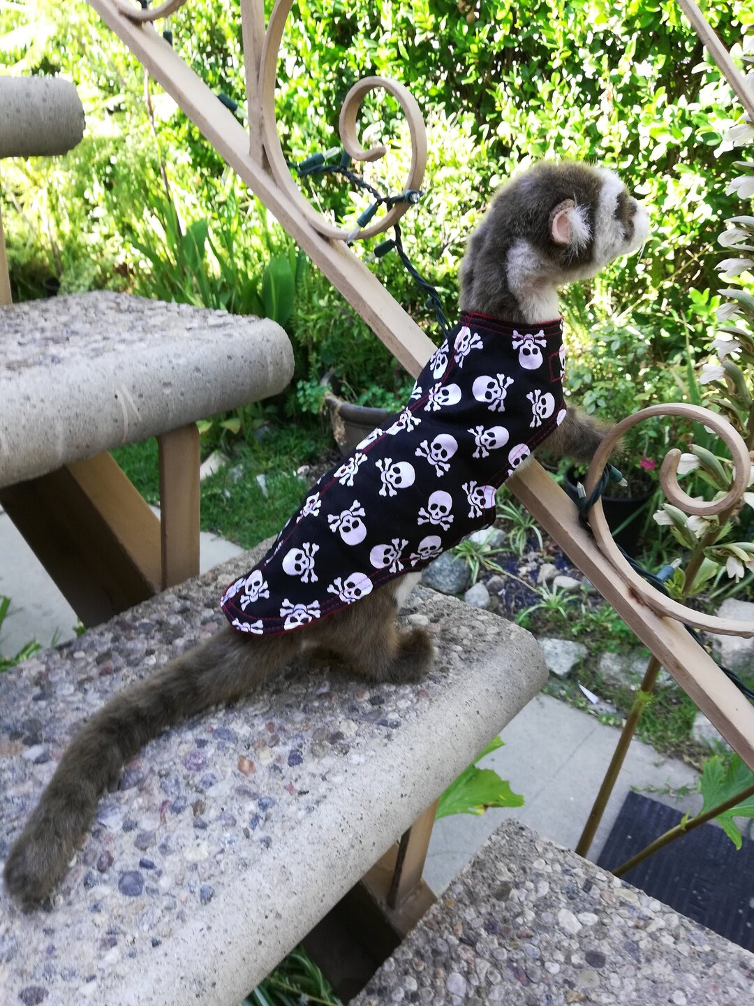 NEW Furever Ferrets pirate/skulls Coat by TKCCOZYPAWZ - Etsy
