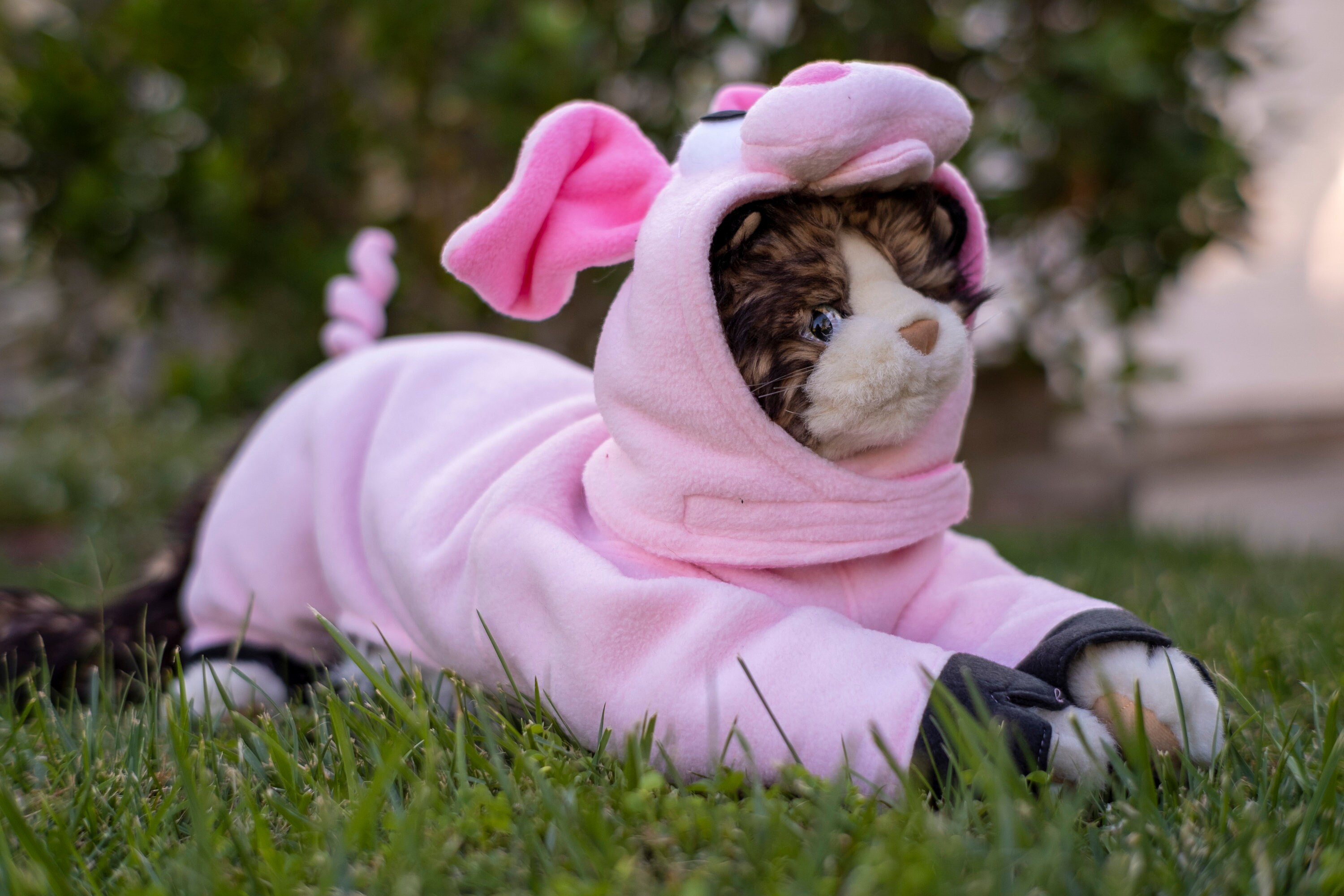 4 Legged "pink Piggy" Pajammies for Small Dogs and Cats by Cozy Pawz - Etsy
