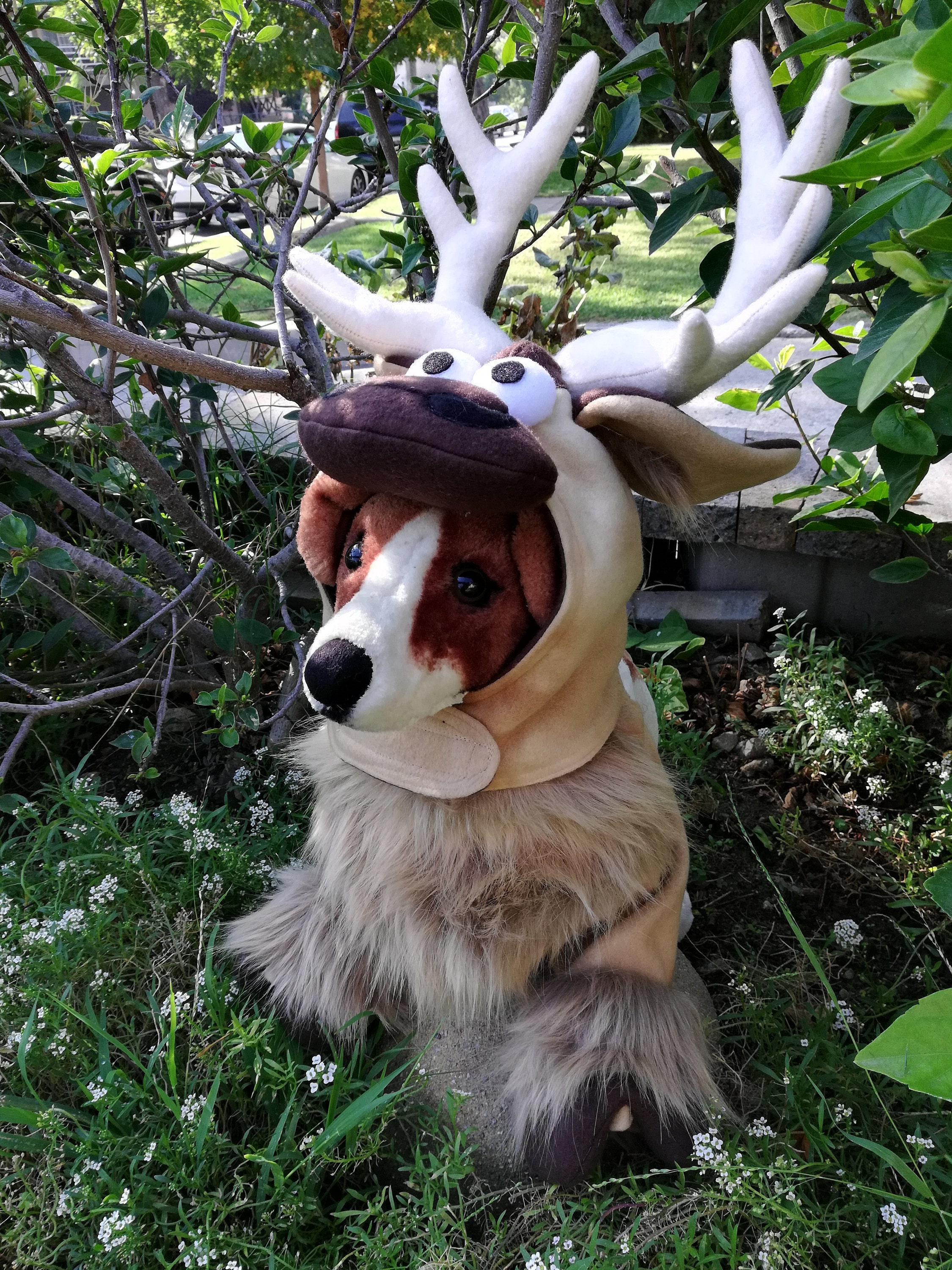 RUPERT the REINDEER "front Standing" Dog Costume by TKCCOZYPAWZ - Etsy