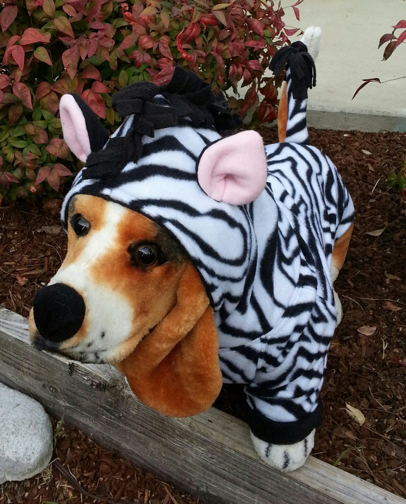 Zebra Hoodie for Dog or Cat Xsmall-xlarge by TKC Cozy Pawz - Etsy