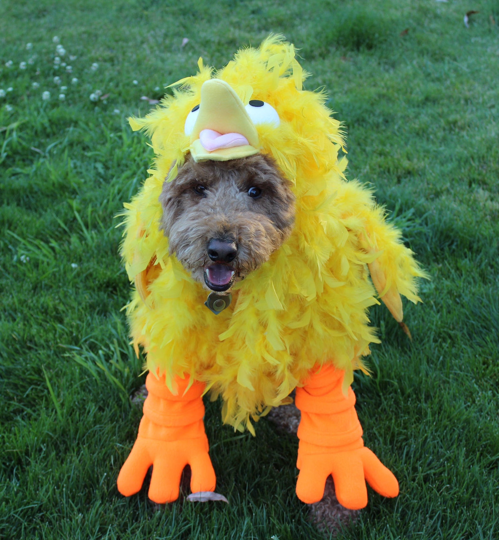 Larger Sizes/big Yellow Bird Costume for Dog by Cozy Pawz - Etsy