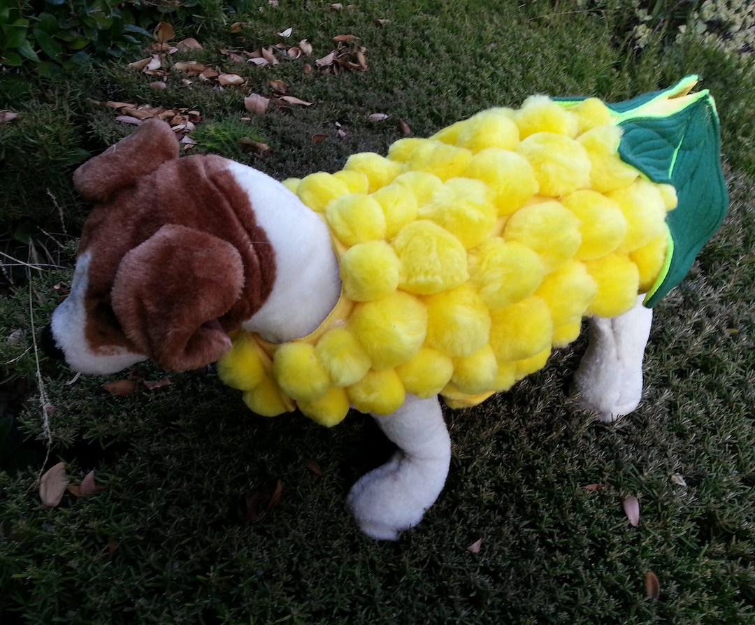 CORN DOGS or Kitty Corn!? Corn Coat for Cats & Dogs - Etsy