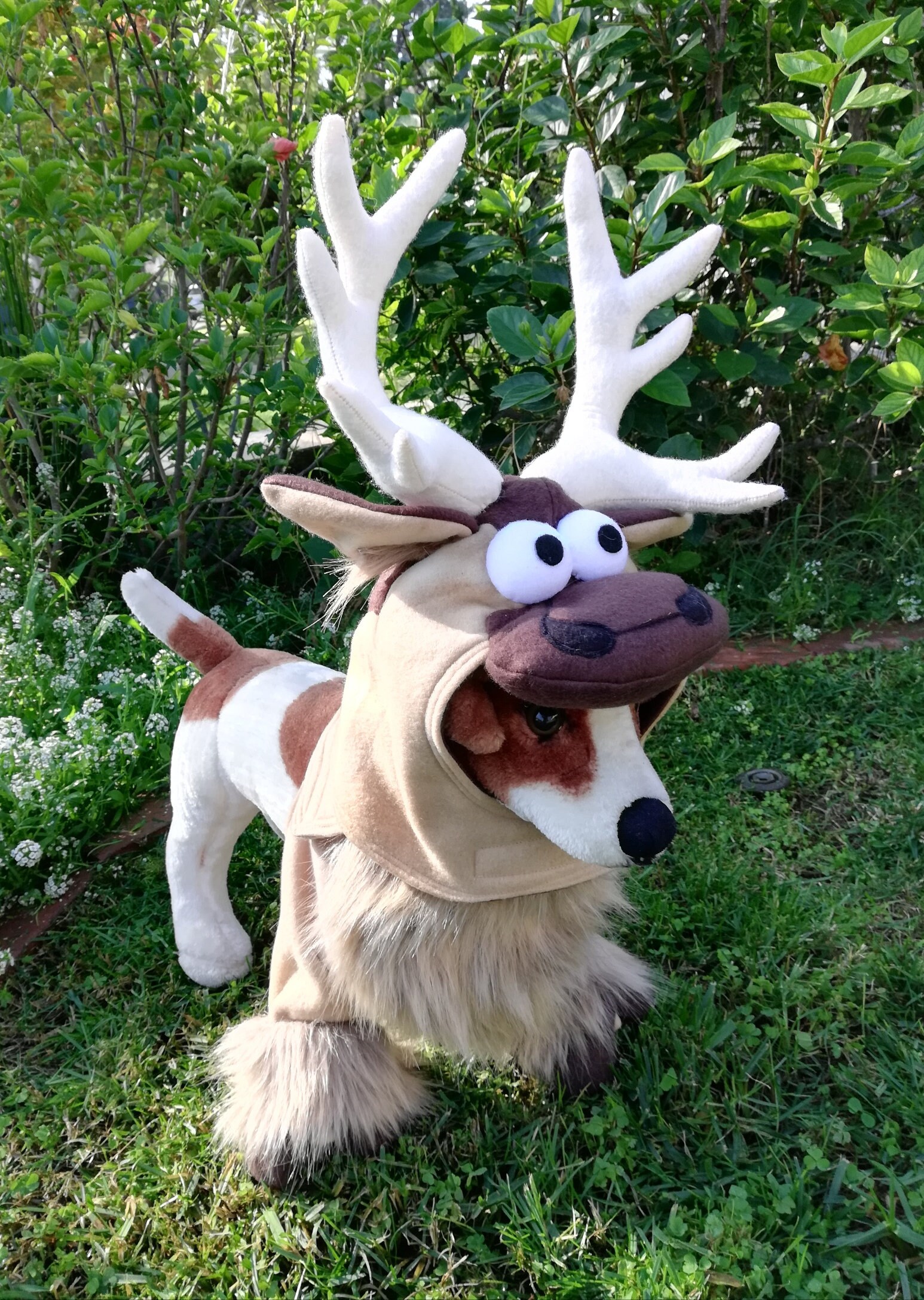 RUPERT the REINDEER "front Standing" Dog Costume by TKCCOZYPAWZ - Etsy