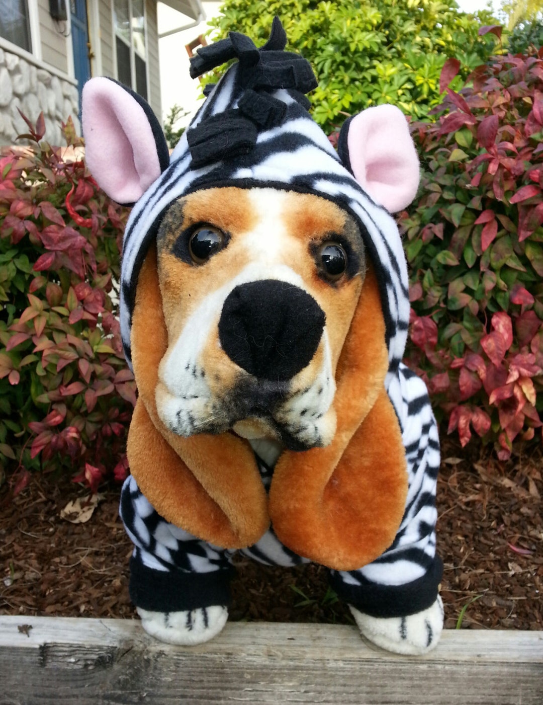 Zebra Hoodie for Dog or Cat Xsmall-xlarge by TKC Cozy Pawz - Etsy