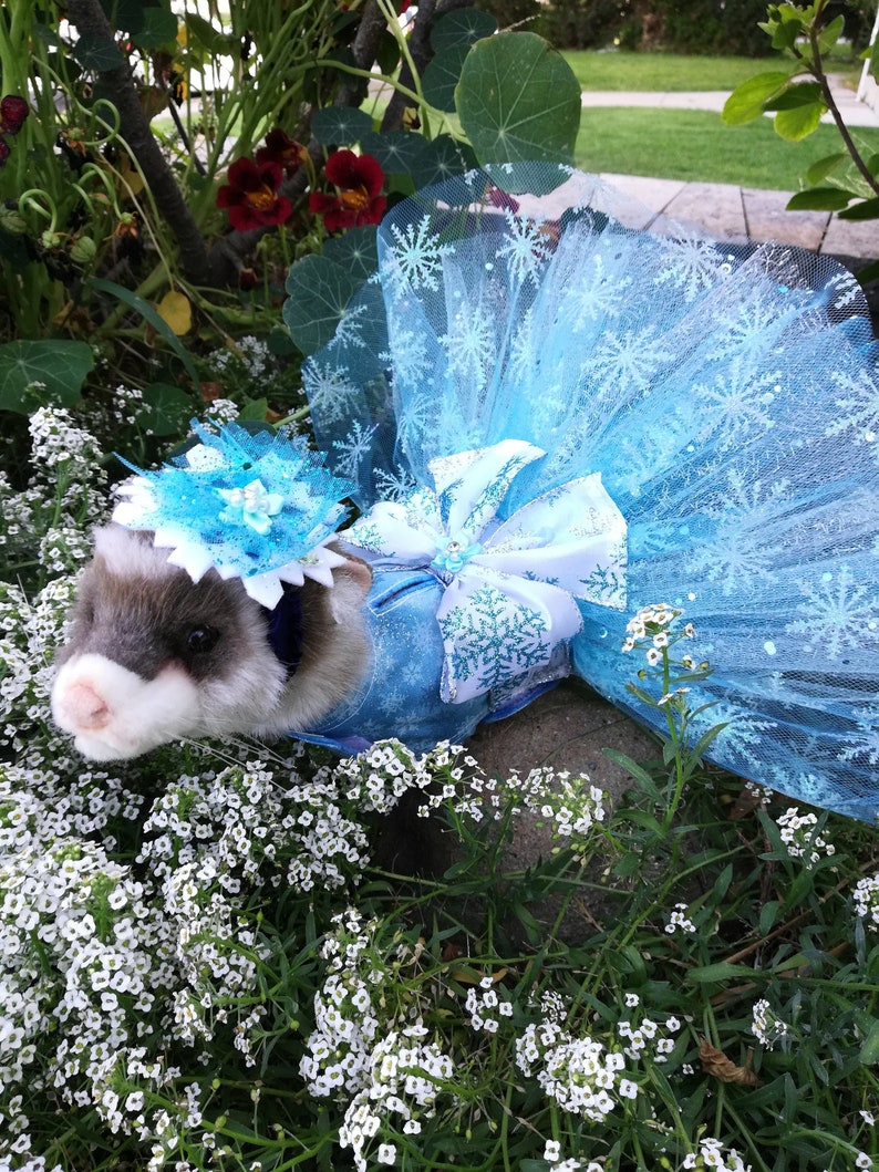 New* Furever Ferrets "snowflake" Dress and Hat by Tkccozypawz - Etsy