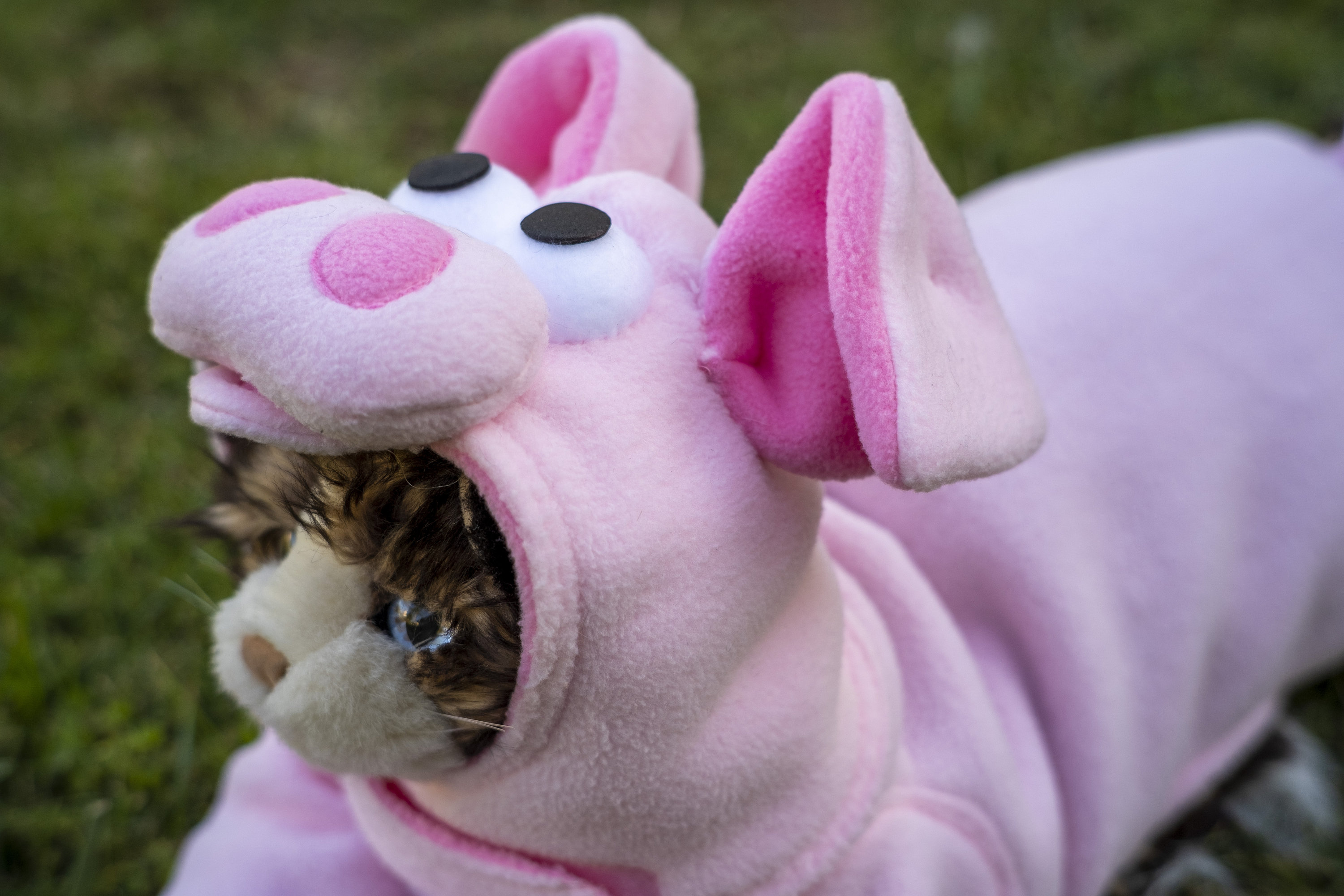 4 Legged "pink Piggy" Pajammies for Small Dogs and Cats by Cozy Pawz - Etsy
