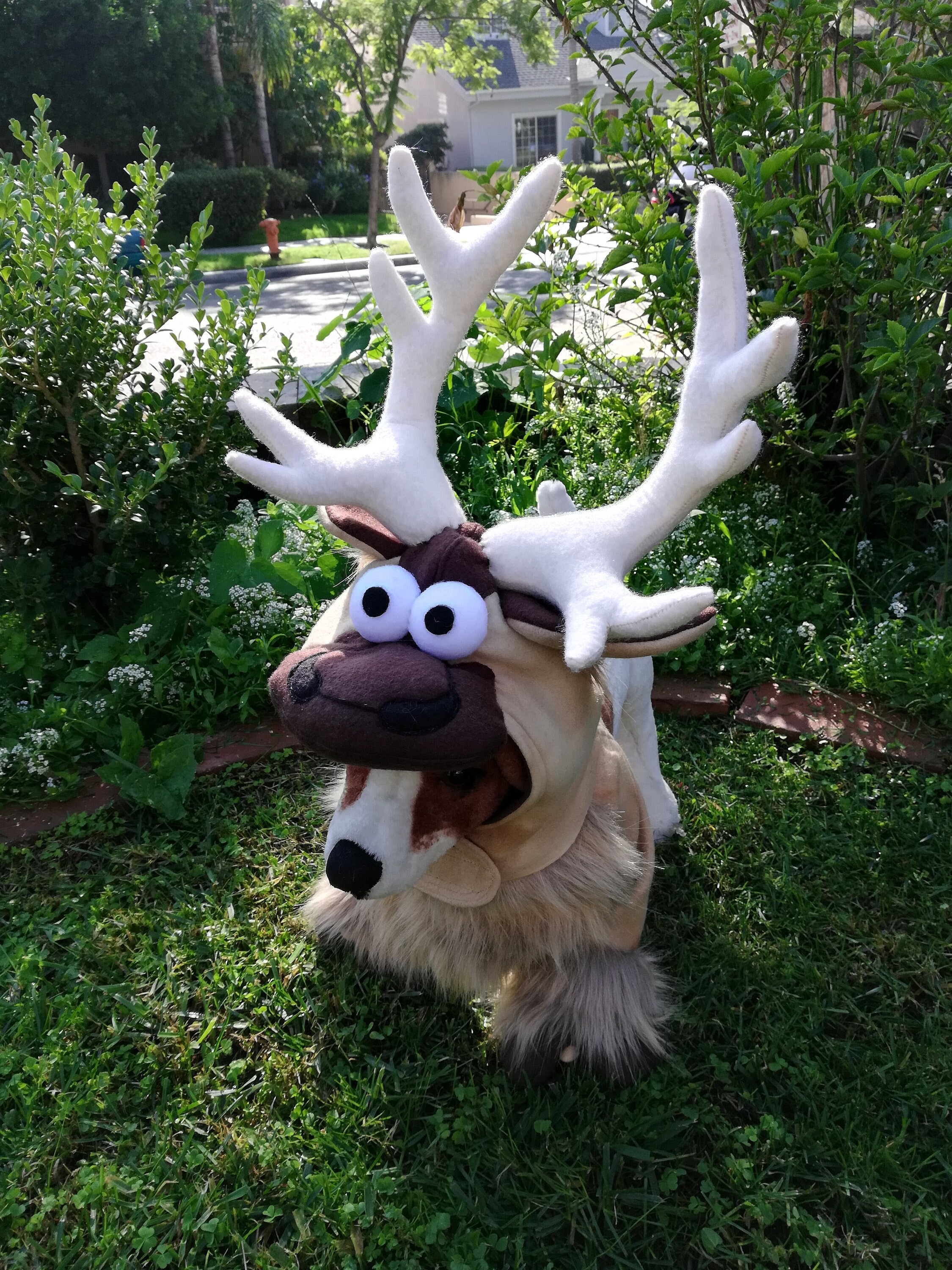 Sven Costume For Dogs