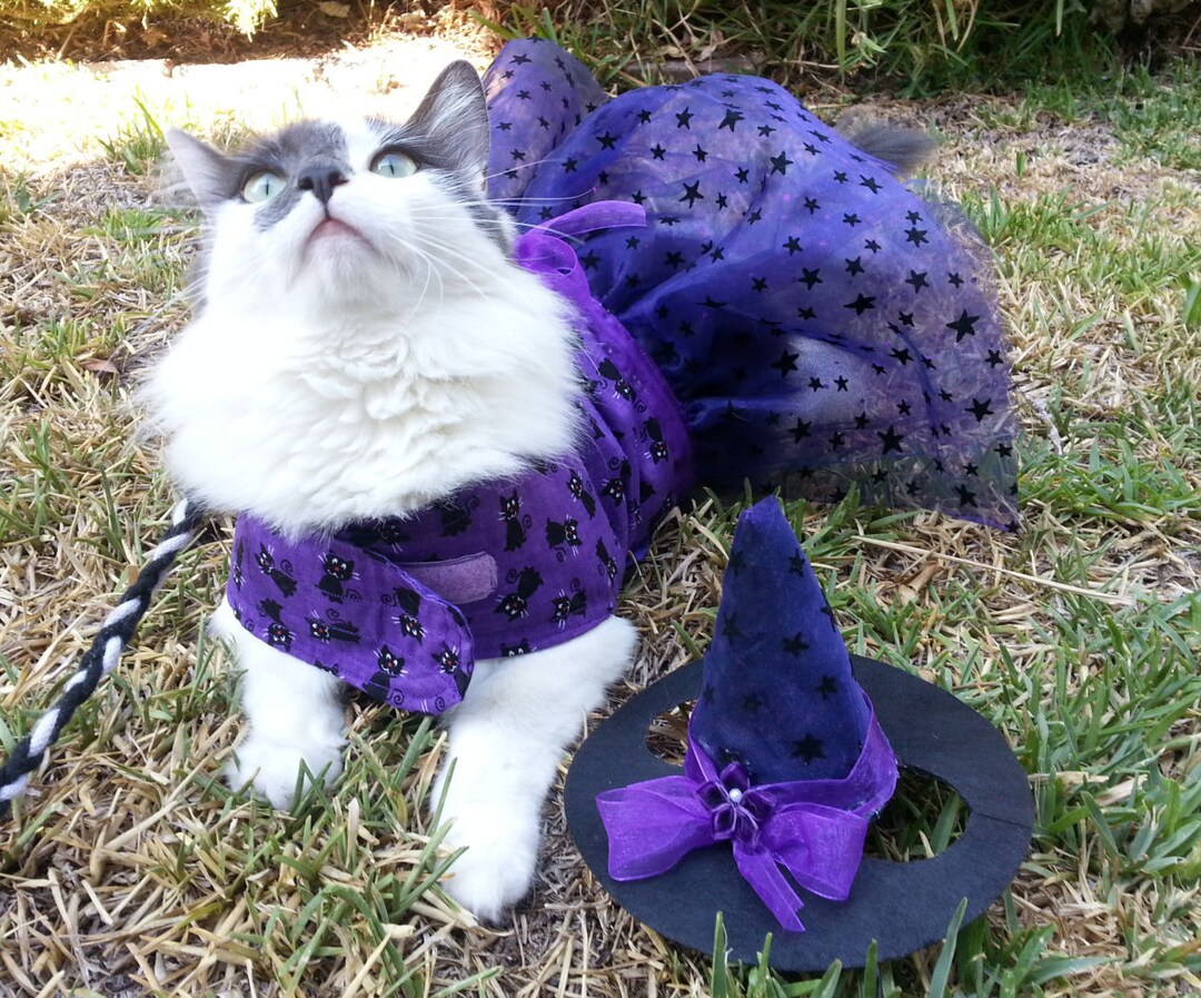 Cat "witch" Costume W/hat - Purple Stars and Black Cats - Etsy