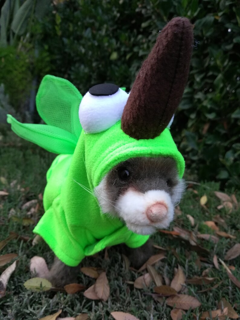 NEW* Furever Ferrets MOSQUITO Hoodie by TKCCOZYPAWZ - Etsy