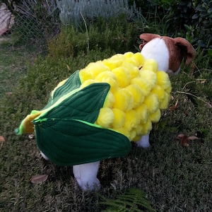 CORN DOGS or Kitty Corn!? Corn Coat for Cats & Dogs - Etsy