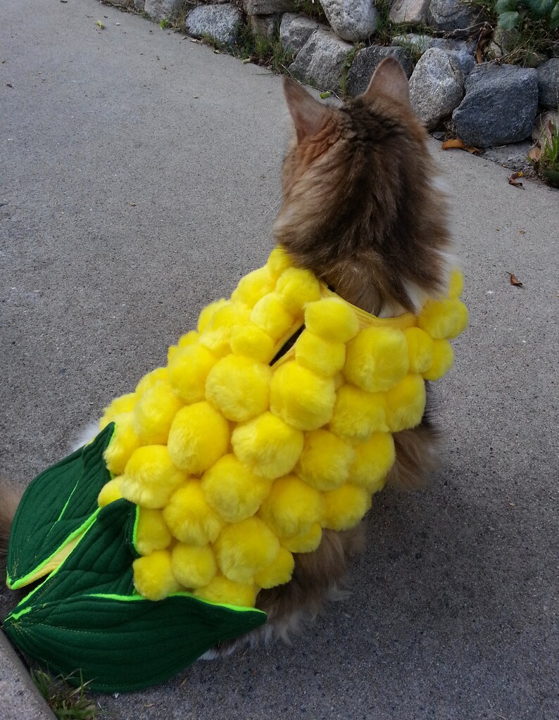 CORN DOGS or Kitty Corn Corn Coat for Cats & Dogs - Etsy