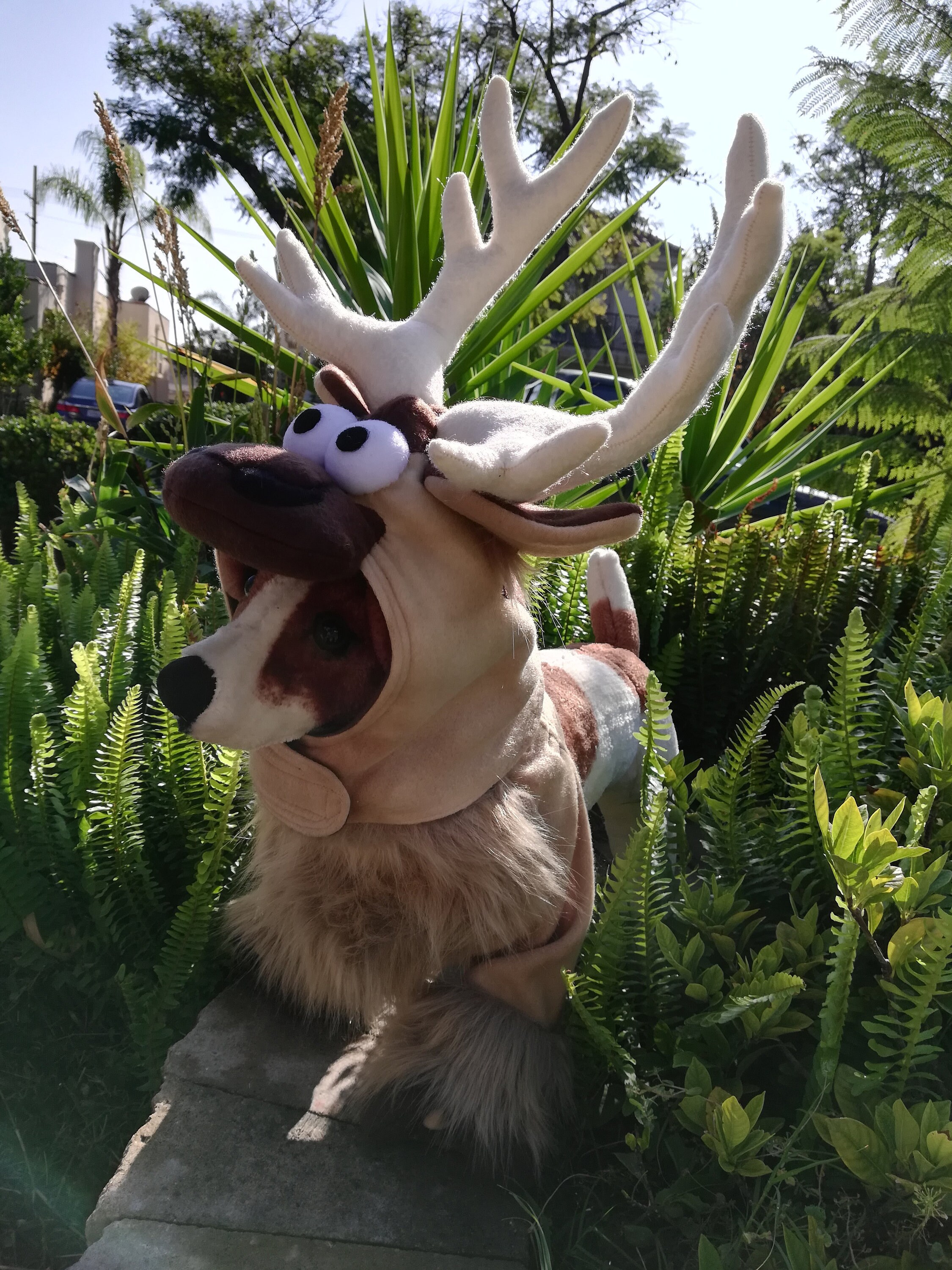 RUPERT the REINDEER "front Standing" Dog Costume by TKCCOZYPAWZ - Etsy