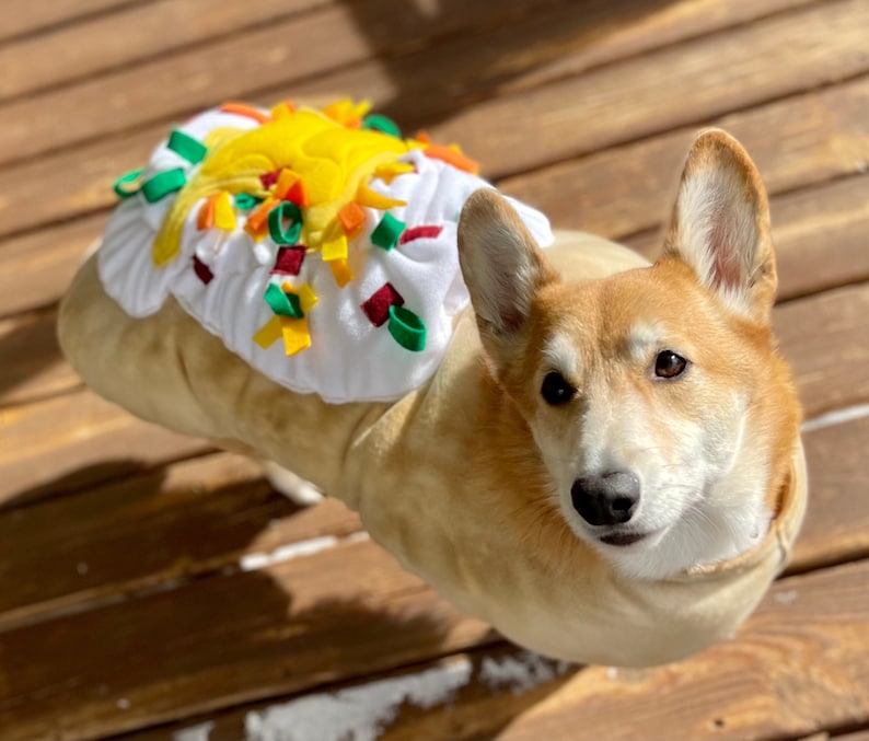 Fully Loaded BAKED POTATO Dog or Cat Costume - Etsy