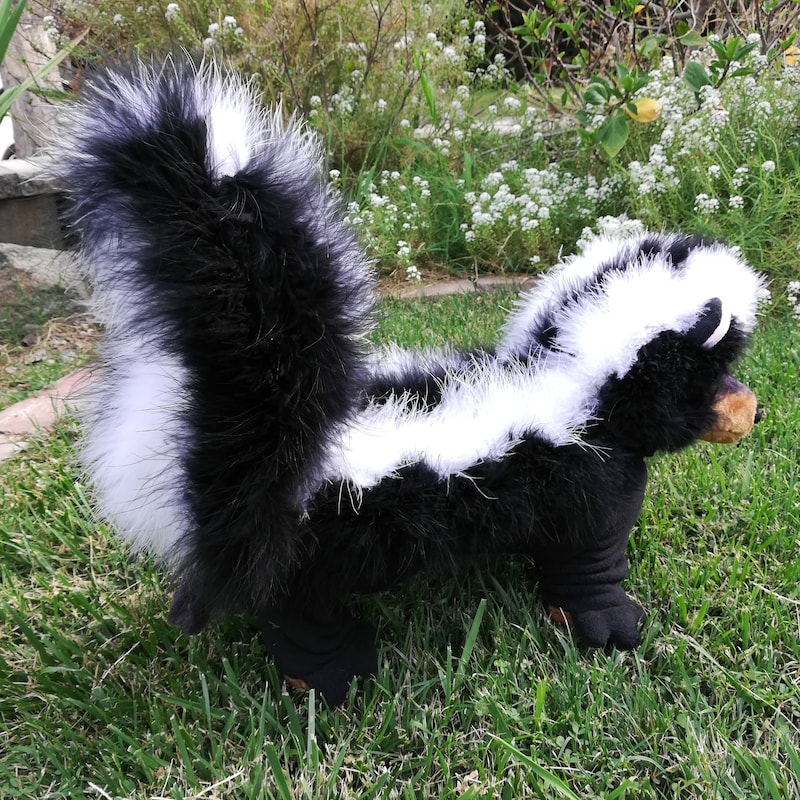 Skunk Costume - Etsy