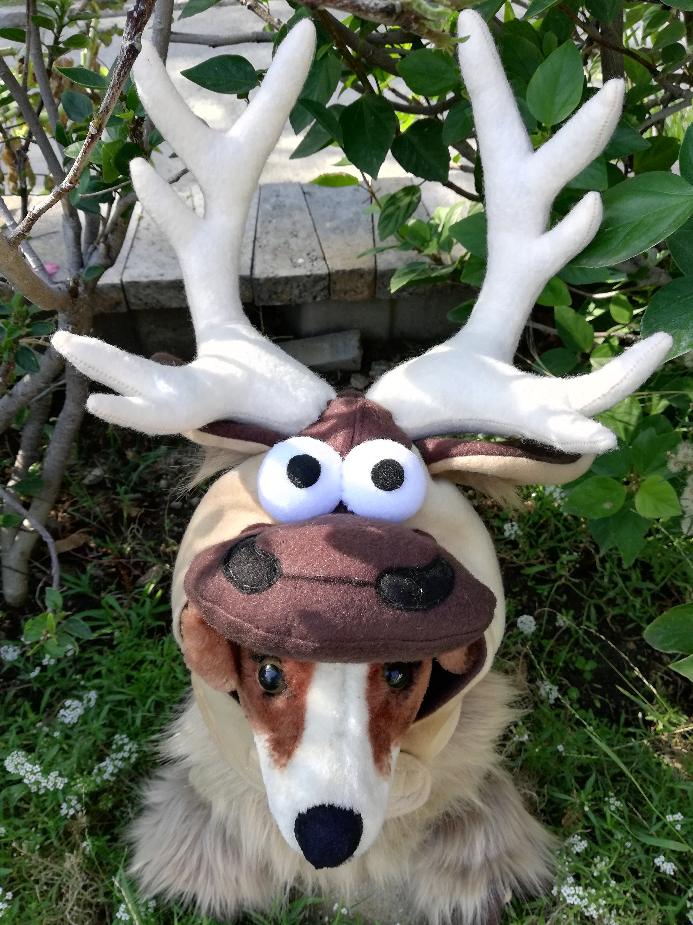 RUPERT the REINDEER "front Standing" Dog Costume by TKCCOZYPAWZ - Etsy