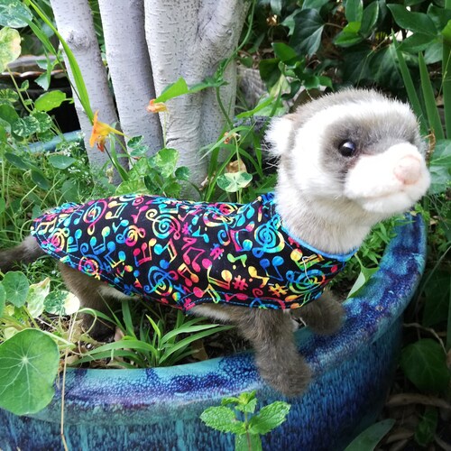 NEW Furever Ferrets MOSQUITO Hoodie by TKCCOZYPAWZ - Etsy